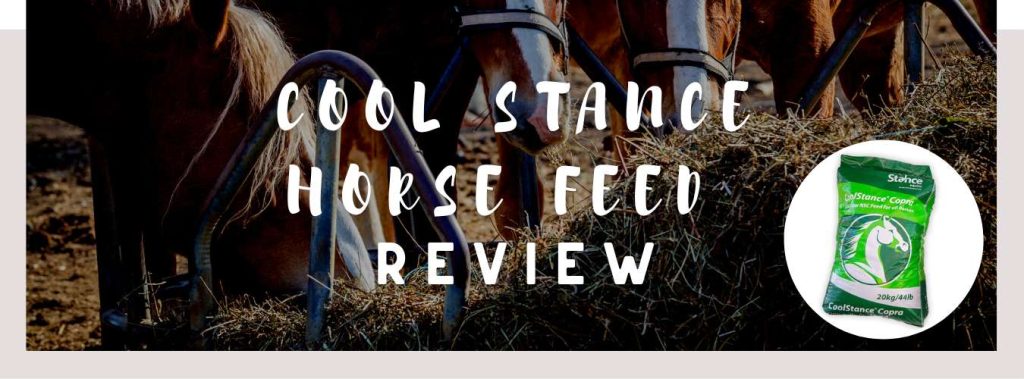 ᐅ Cool Stance Horse Feed Review | Coconut-Based Meal