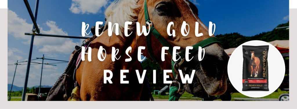 ᐅ Renew Gold Horse Feed Review | Stabilized Rice Bran