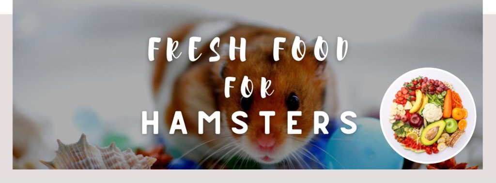 ᐅ Fresh Food For Hamsters | What to Give