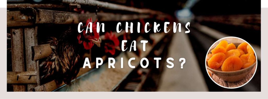 What Do Animals Eat - And What Should They Eat? - whatanimalseat.com